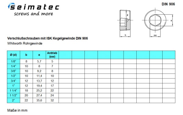 Verschlussschraube Rohrgewinde Zoll DIN 906 A4