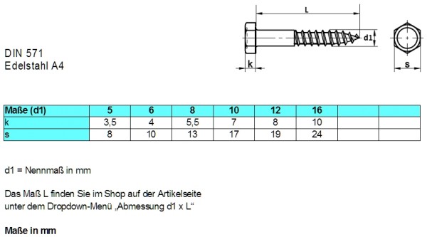 DIN 571 Sechskant Holzschrauben | Schlüsselschraube | A4